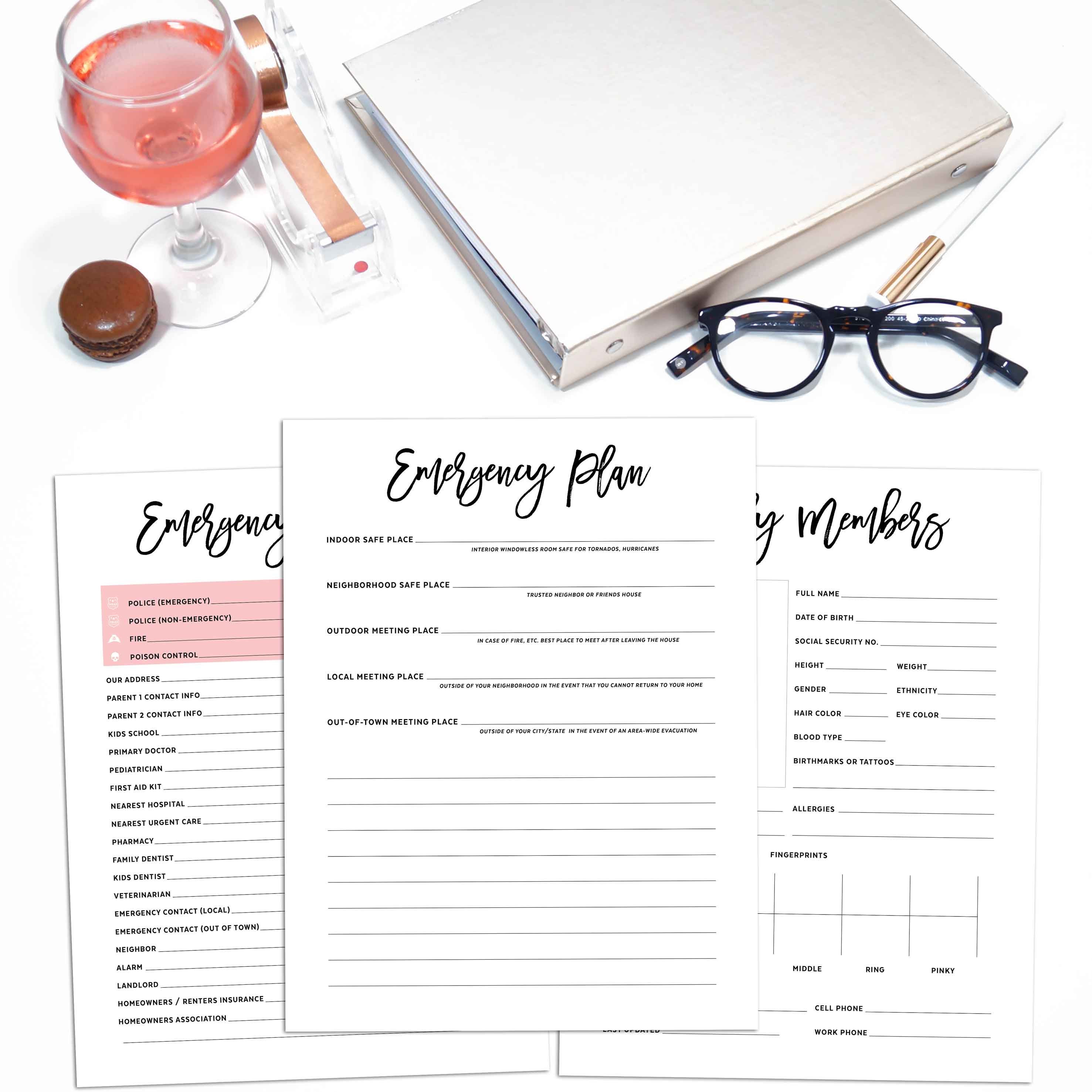 Family Emergency Binder Pages Printable, Mini Binder Emergency Planner ...