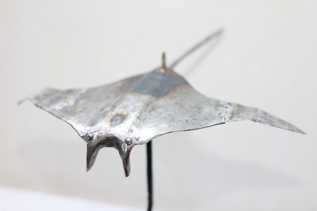 Manta Ray Model by Recyclhome. - Etsy