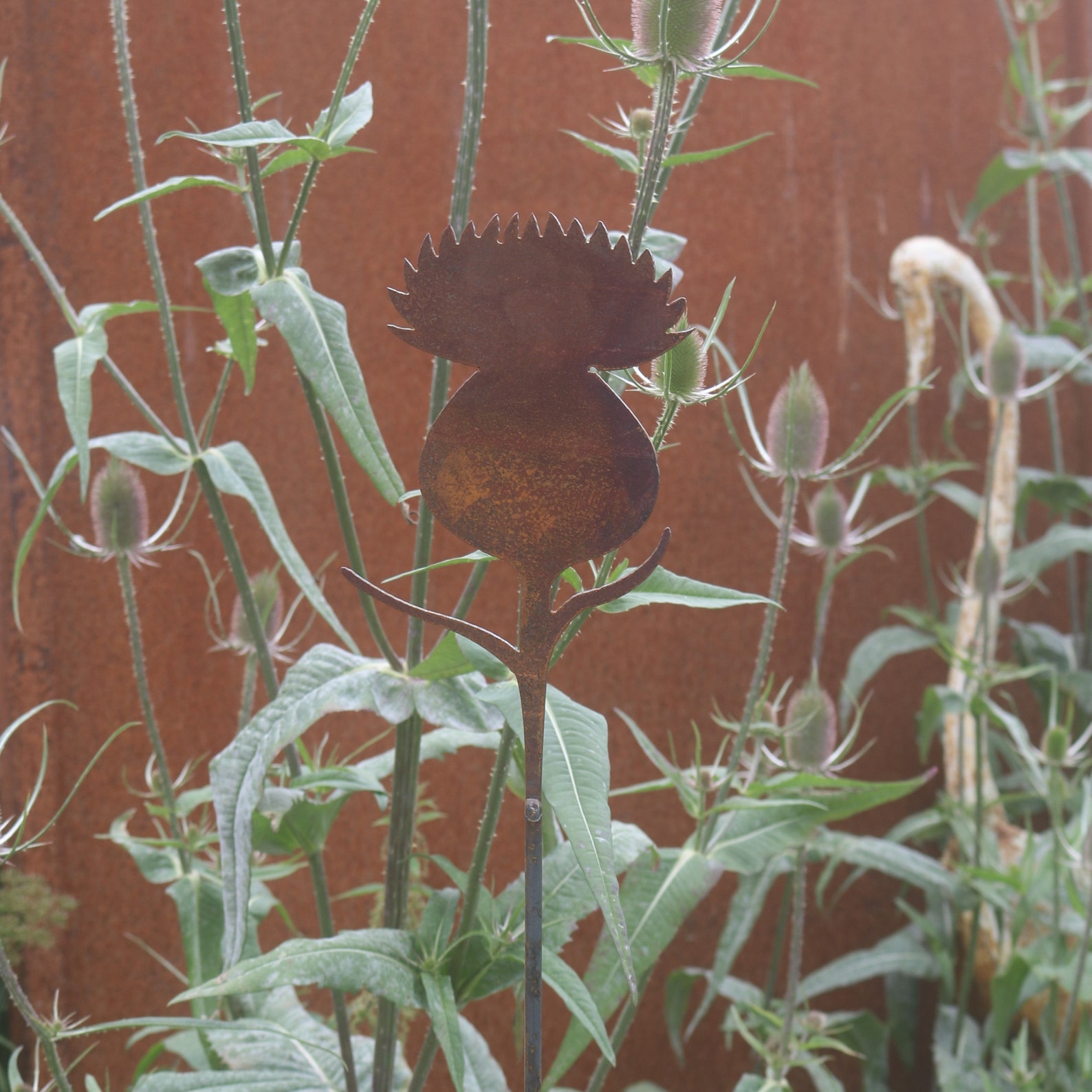Rusty Metal Thistle Outdoor and Garden Art Gift Thistle Steel - Etsy UK
