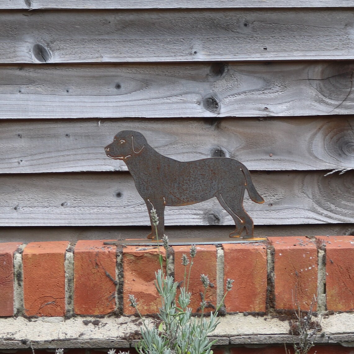 Rusty Metal Standing Labrador Outdoor and Garden Gift - Etsy UK