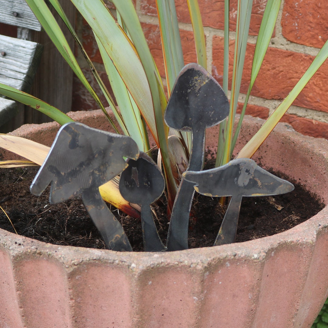 British Made Metal Garden Art Bespoke Rusty 3 Toadstools Garden ...
