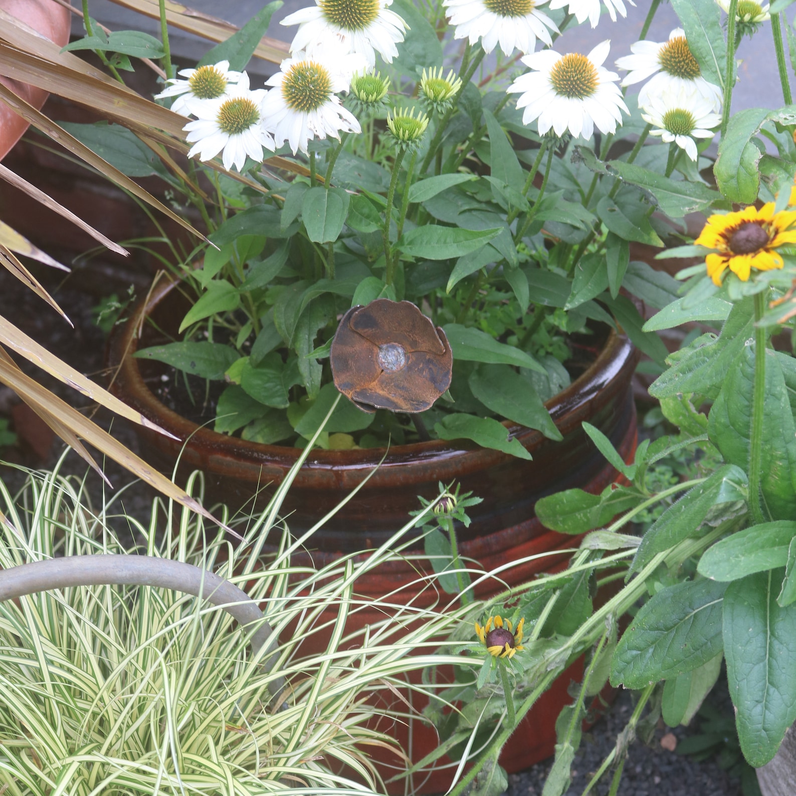 Rusty Metal Poppy Unique Bespoke Poppy Home Decor Gift Poppy - Etsy UK