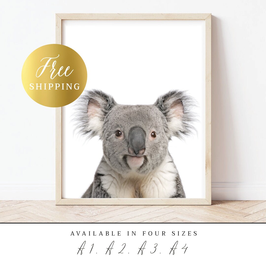 PRINTED Poster | Baby Koala Print, Baby Animal Picture, Koala Print ...