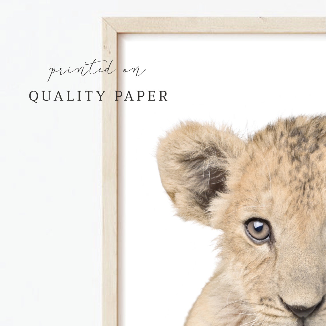 PRINTED Poster Baby Lion Cub Print Safari Baby Animal | Etsy