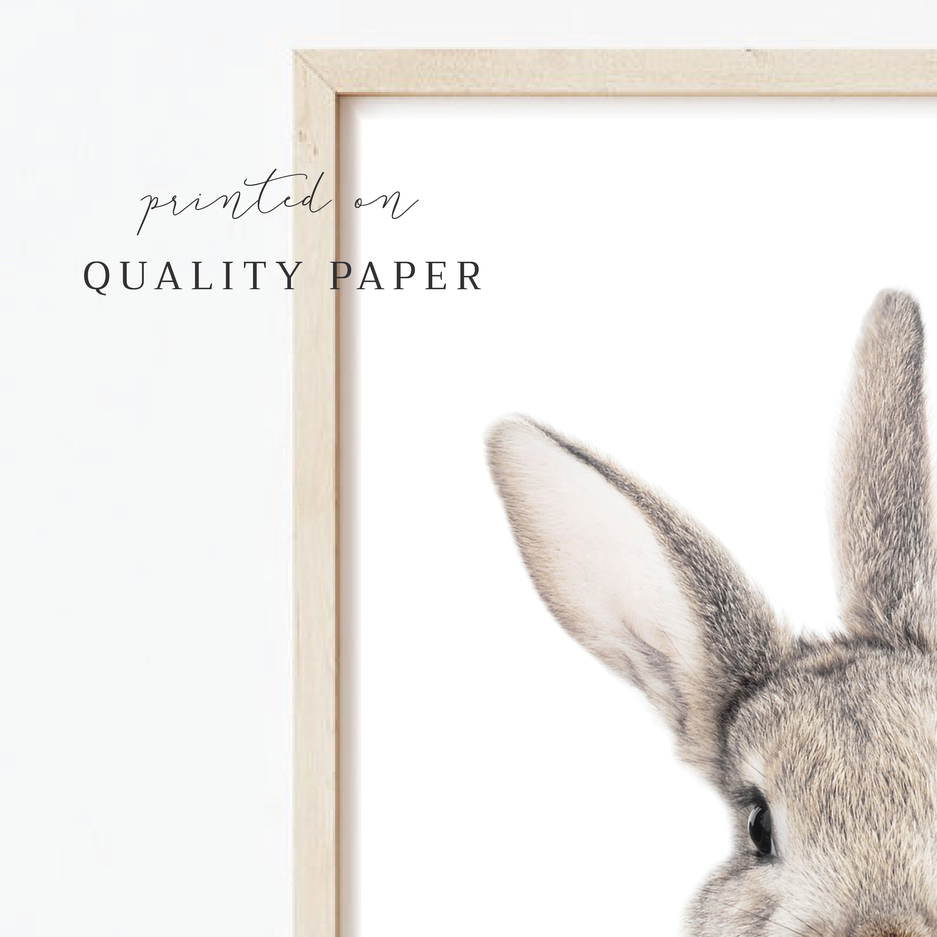 PRINTED Posters Set of 2 Bunny Prints Rabbit Wall Art - Etsy