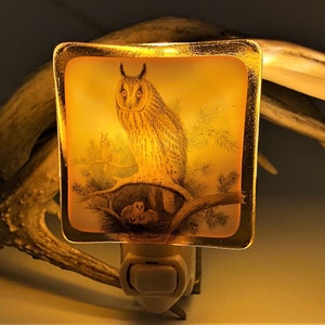 Owl Night Light Wall Plug In, Barn Snowy Horned Hoot Owl, Night Hunter ...