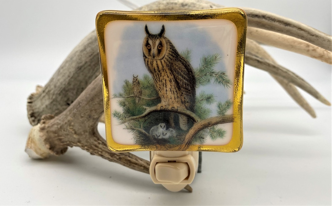 Owl Night Light Wall Plug In, Barn Snowy Horned Hoot Owl, Night Hunter ...