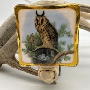 Owl Night Light Wall Plug In, Barn Snowy Horned Hoot Owl, Night Hunter ...
