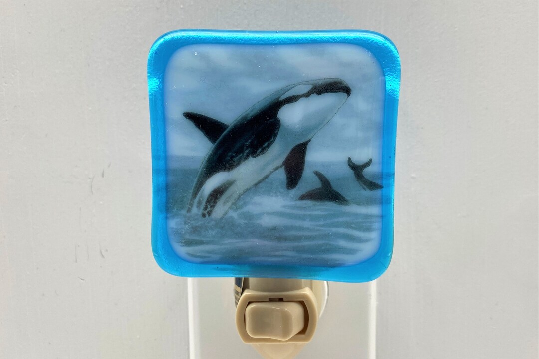 Orca/killer Whale Night Light Wall Plug In, Ocean, Dolphin Family ...