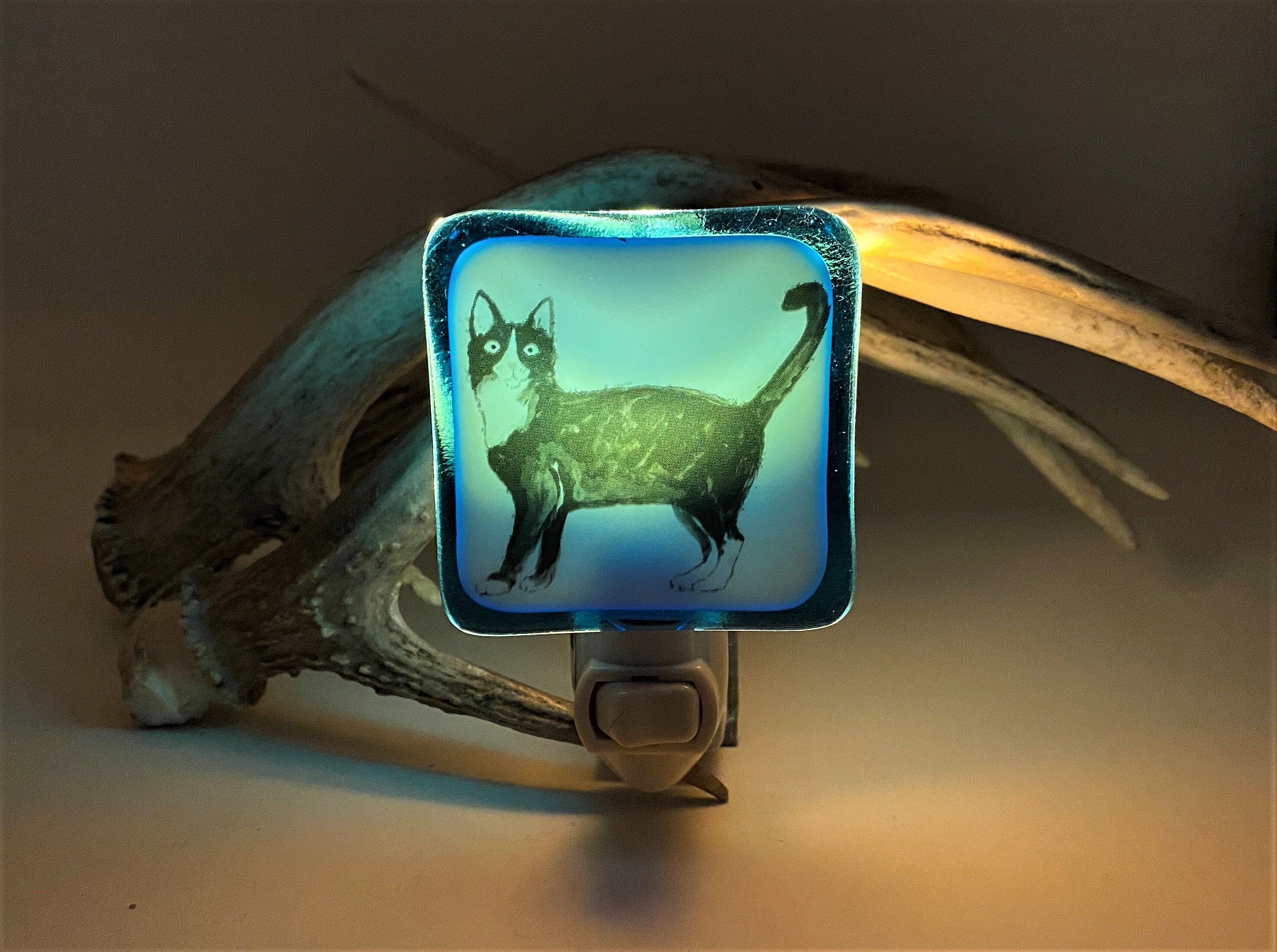 Black Cat Night light wall plug in Frisky Kittens Playful | Etsy