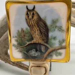 Owl Night Light Wall Plug In, Barn Snowy Horned Hoot Owl, Night Hunter ...
