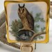 Owl Night Light Wall Plug In Barn Snowy Horned Hoot Owl - Etsy