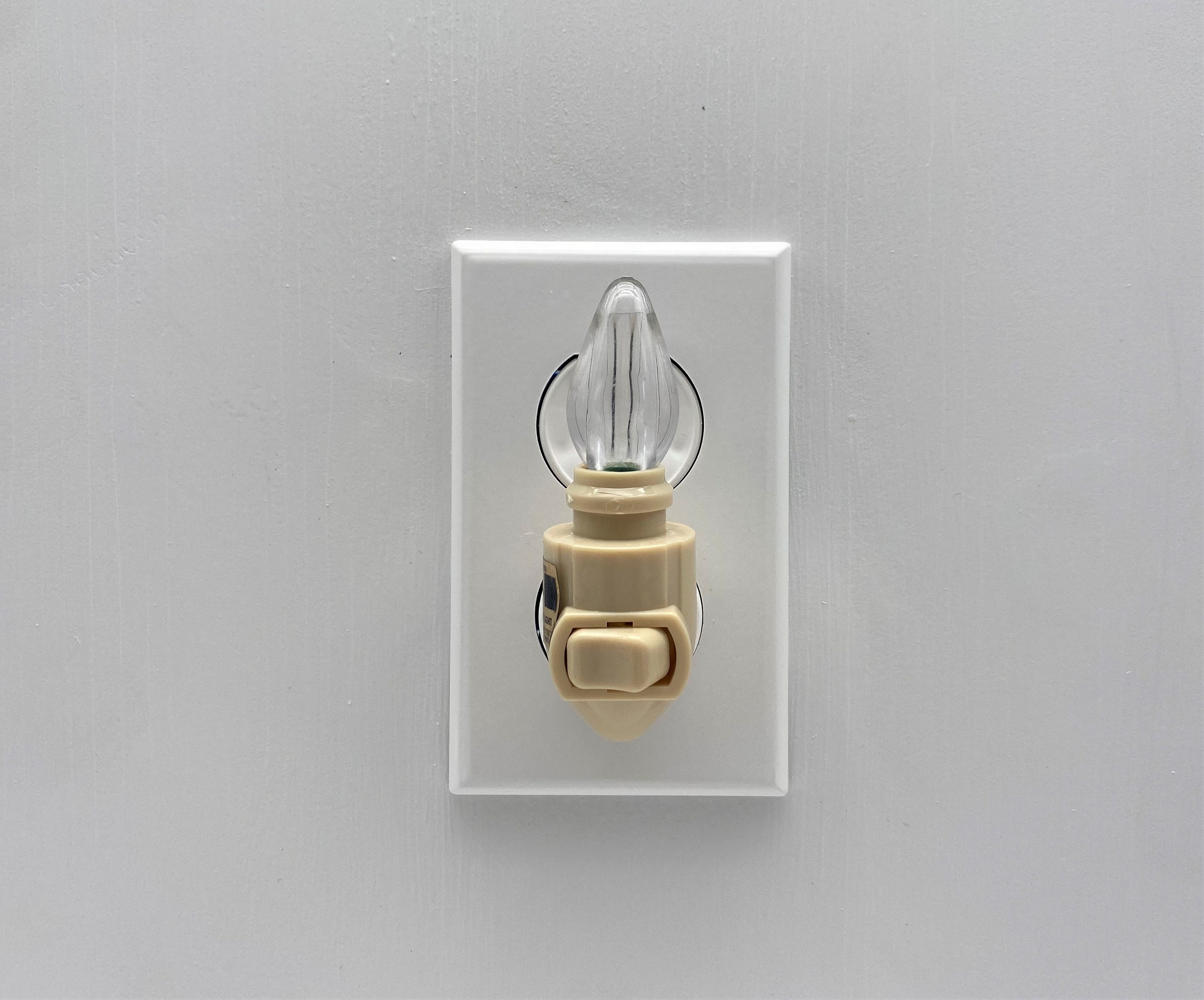 Forget-me-nots Night Light Wall Plug In Flower Nature - Etsy