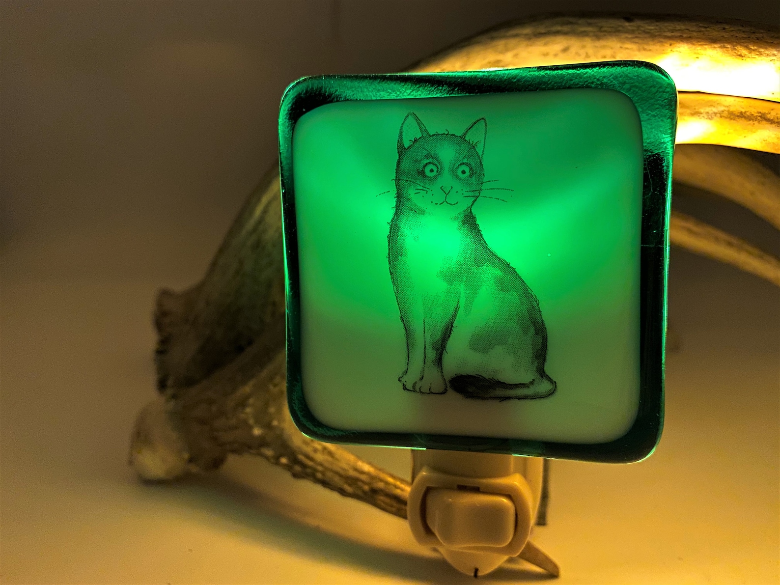 Kitten Night light wall plug in Cute kitty feline lover | Etsy