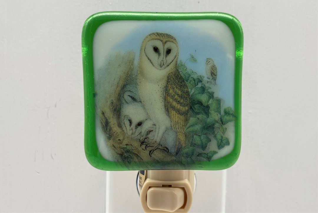 Owl Night Light Wall Plug In, Barn Snowy Hoot Owl, Night Hunter ...