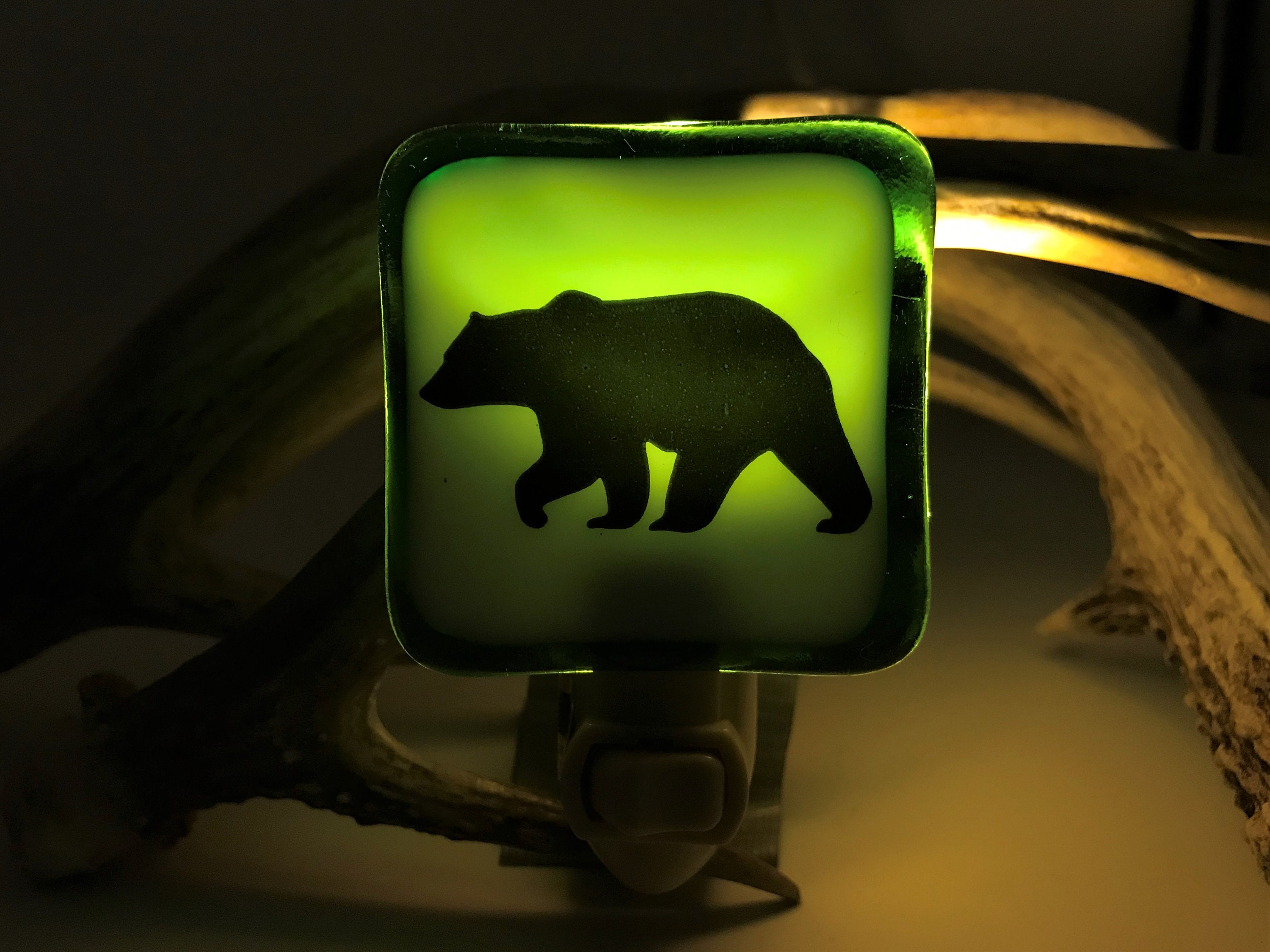 Grizzly Bear Night light wall plug in Brown Bear Yellowstone | Etsy