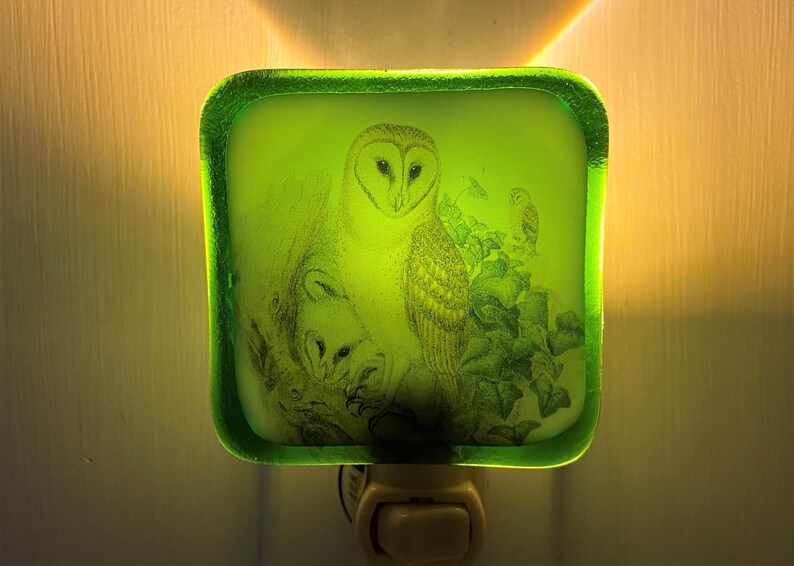 Owl Night Light Wall Plug In Barn Snowy Hoot Owl Night - Etsy