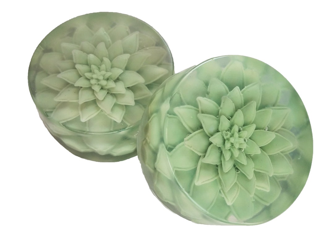 Succulent Soap - Etsy