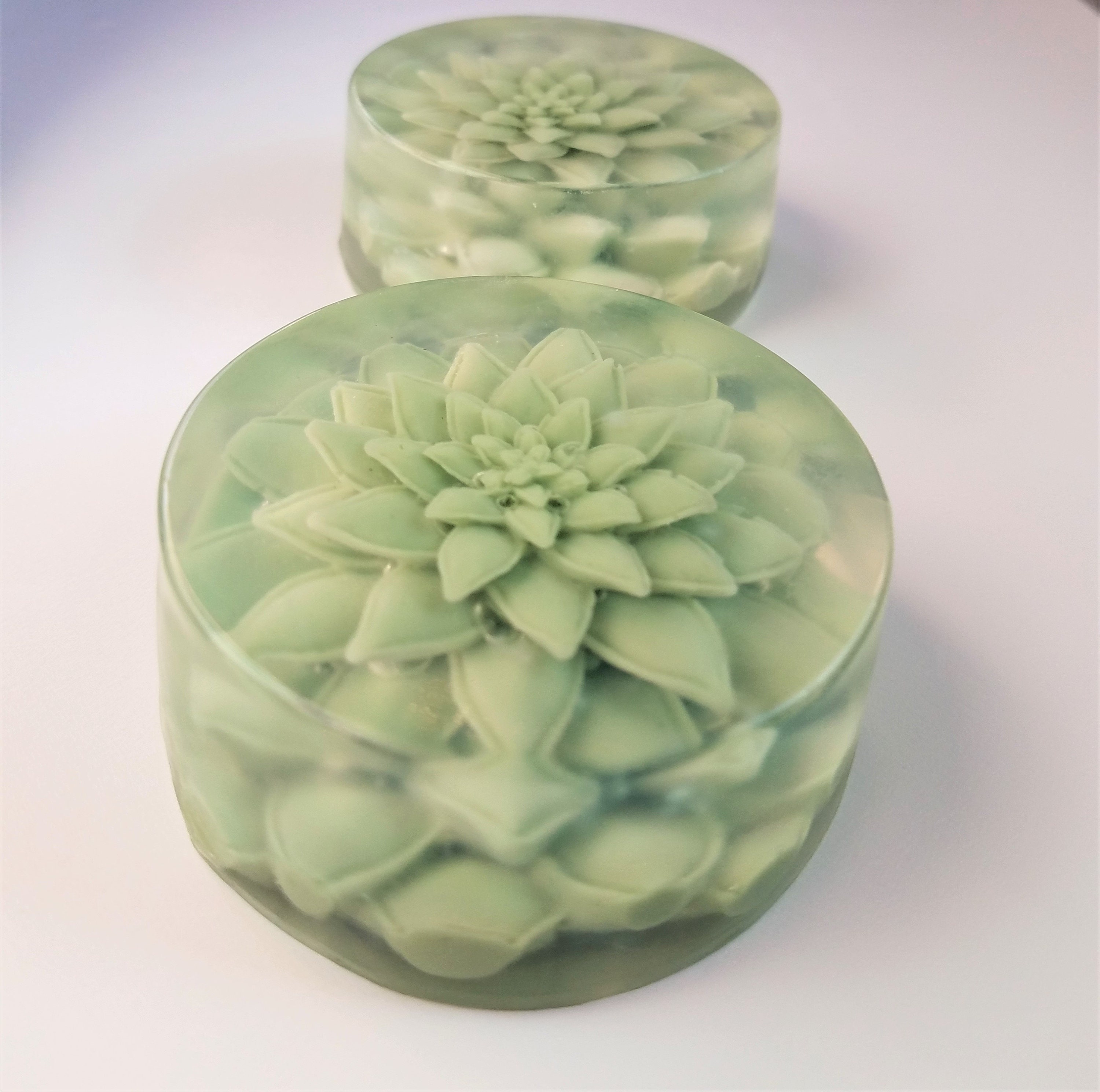 Succulent Soap - Etsy