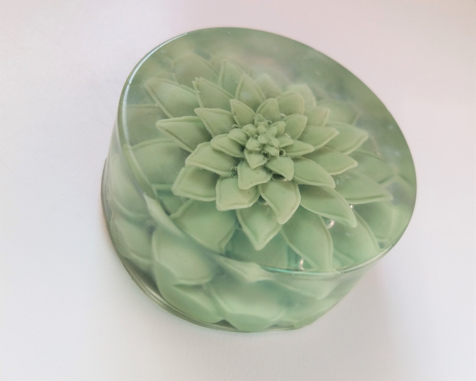 Succulent Soap - Etsy