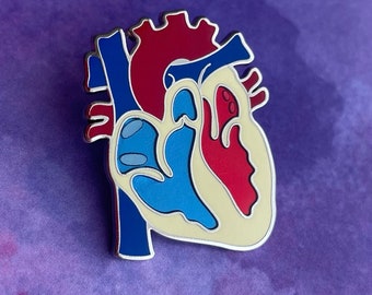 Anatomical Heart Enamel Pin Medical Badge for Doctors Nurses Hat Lapel ...