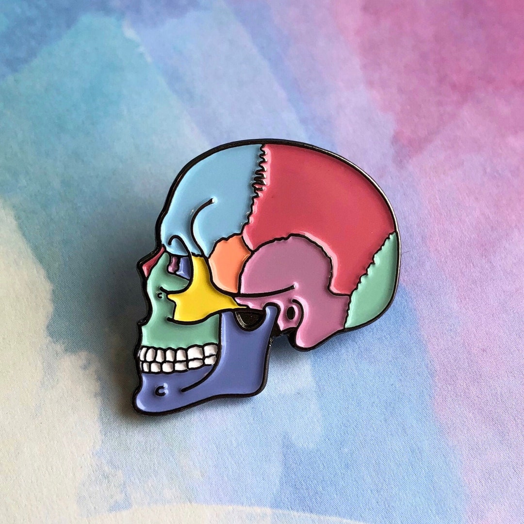 Textbook Anatomy Skull Enamel Pin- Medical Gift - Gift for Doctor ...