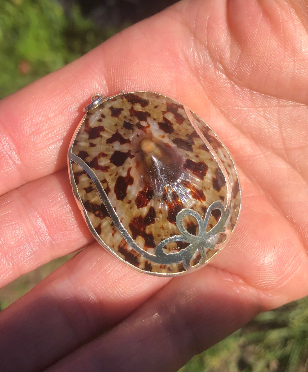 Pendant, Limpet Shell Focal, Silverplate, 36x28mm-44x34mm | Brown ...