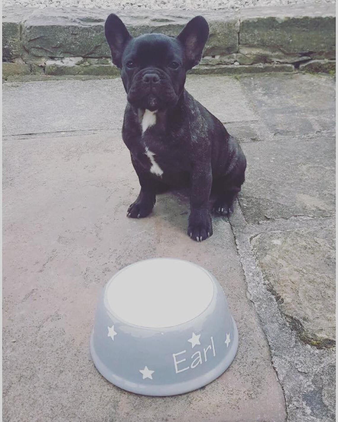 Medium Slanted Dog Bowl Dog Bowl Dog Food Bowl Custom Dog | Etsy