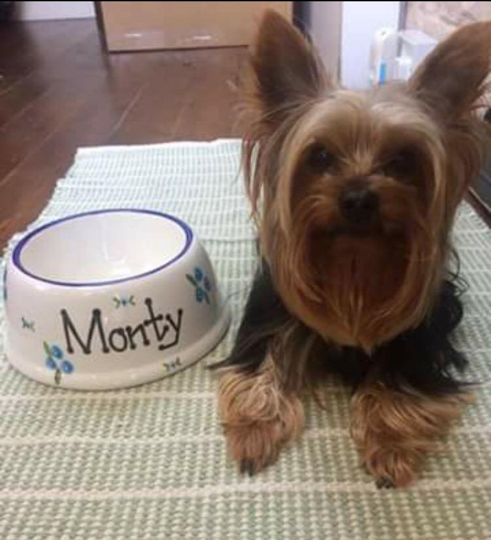 Medium Slanted Dog Bowl Dog Bowl Dog Food Bowl Custom Dog - Etsy