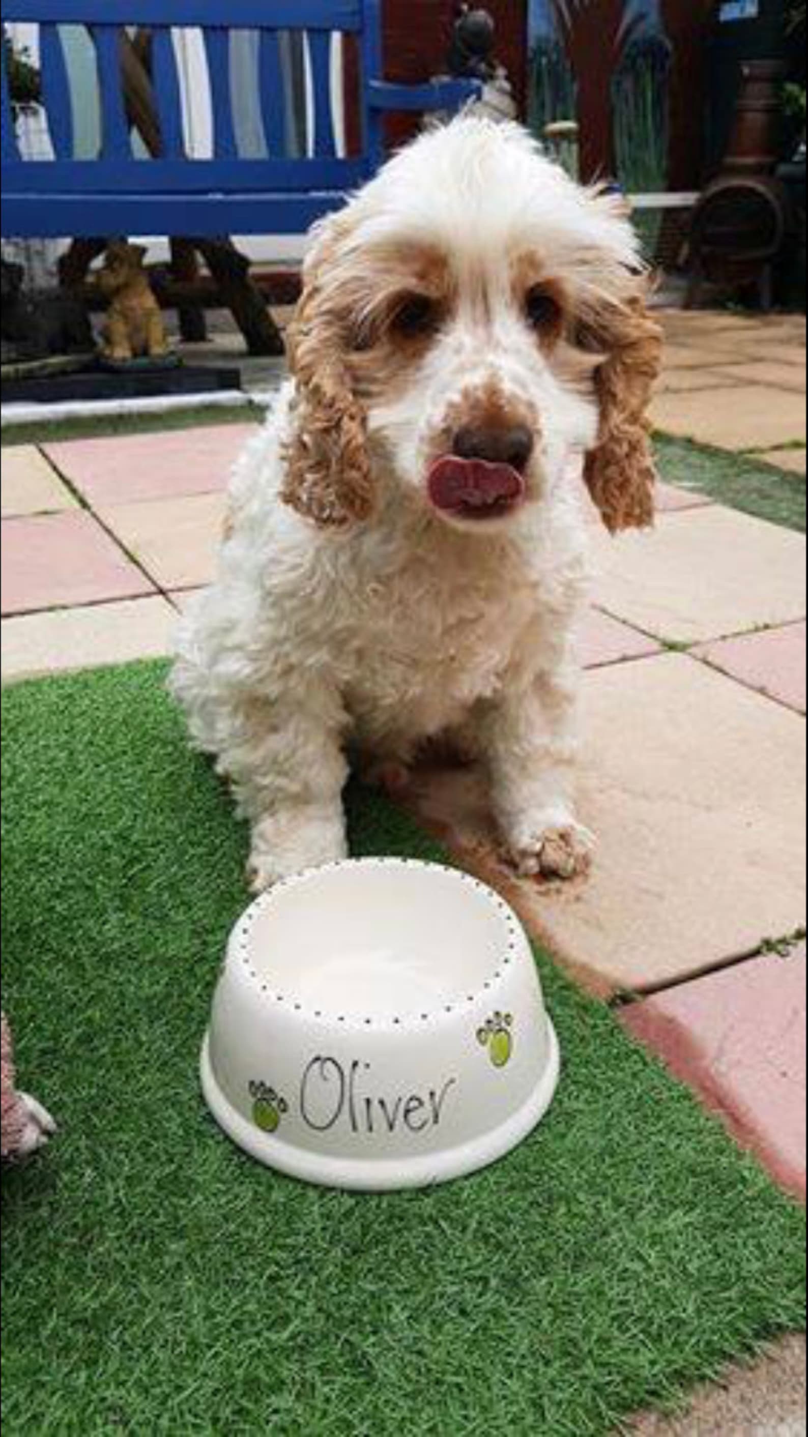 Medium Slanted Dog Bowl, Dog Bowl, Ceramic Dog Bowl, Dog Food Bowl ...