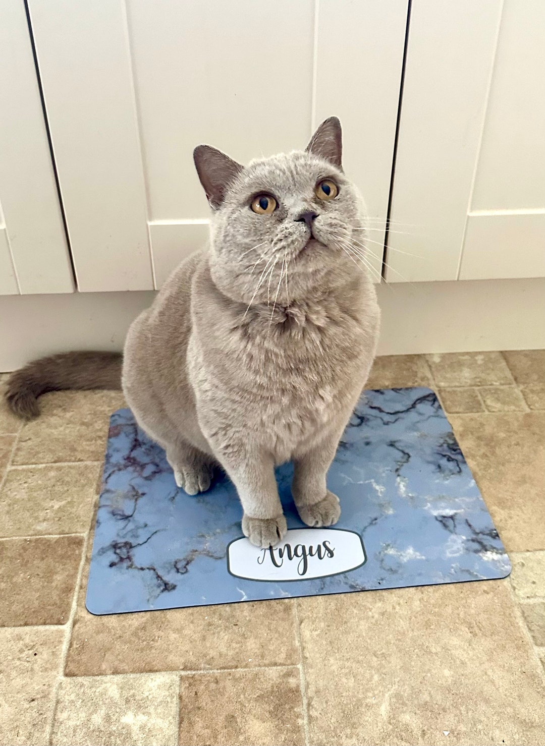 Cat Bowl Mat, Customised Cat Bowl Mat, Personalised Cat Bowl Mat, Cat ...