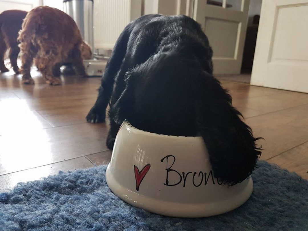 Spaniel Bowl, Medium Slanted Dog Bowl, Dog Bowl, Ceramic Dog Bowl, Dog ...