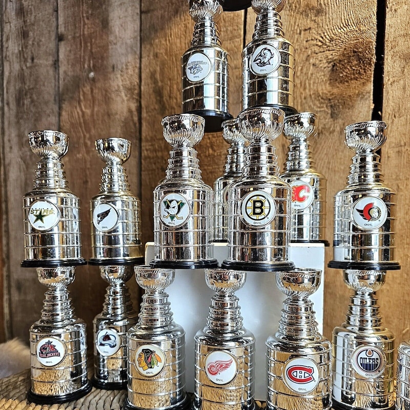 Mini Stanley Cup - Etsy UK