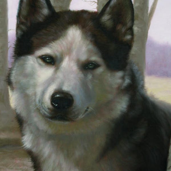 Siberian Husky Flag - Etsy