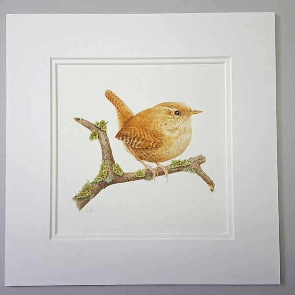 Wren Print - Etsy