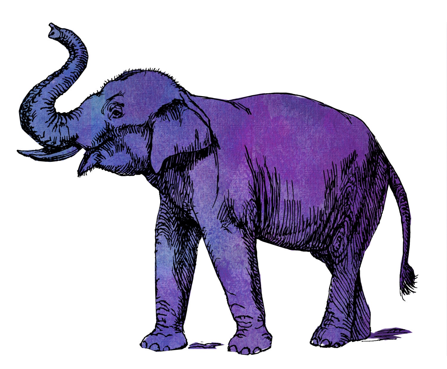 Purple Elephant Print, Elephant Wall Art, Elephant Illustration - Etsy