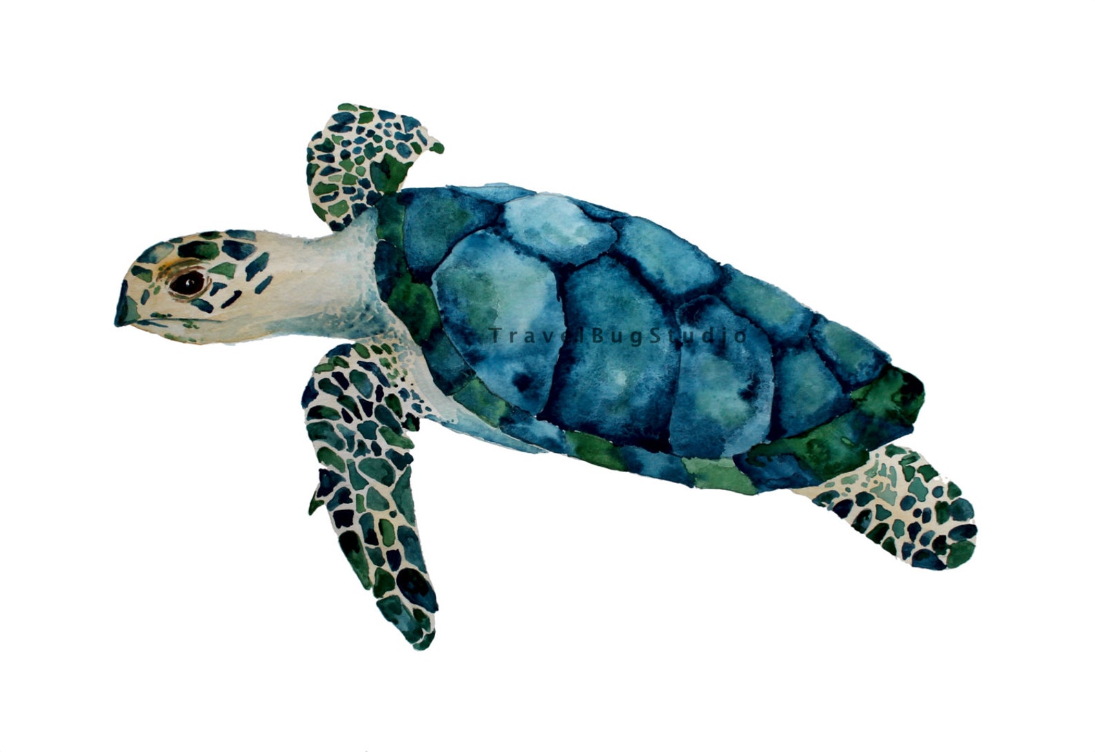 Buy Sea Life Prints Set of 4 Prints Watercolor Nautical Online in India ...