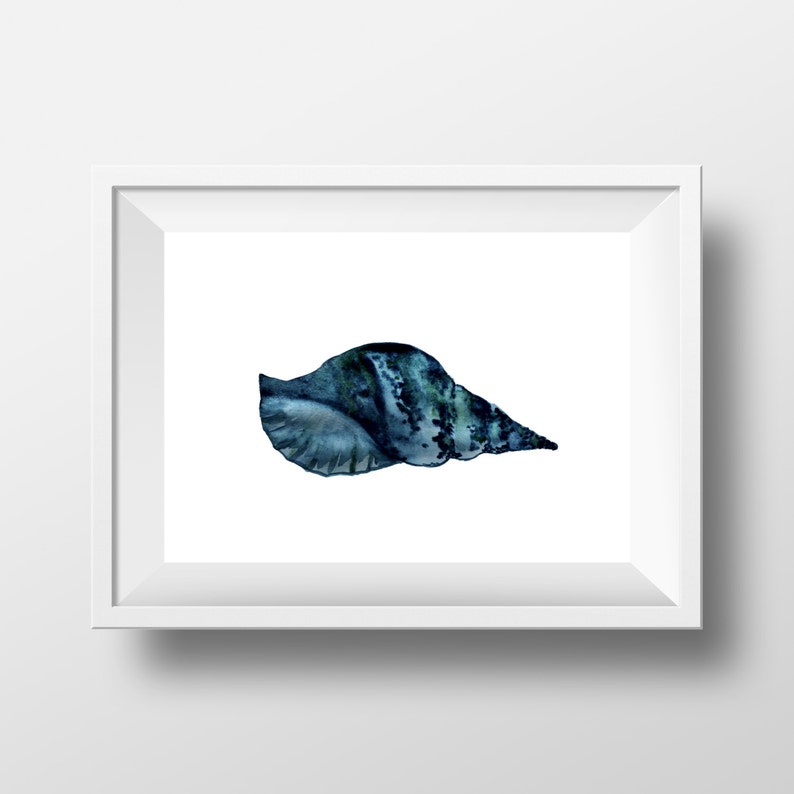 Blue Seashell Blue Shell Nautical Home Decor - Etsy