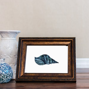 Blue Seashell, Blue Shell, Nautical Home Decor - Etsy