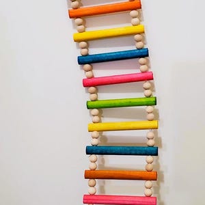 Cockatiel Ladder - Etsy