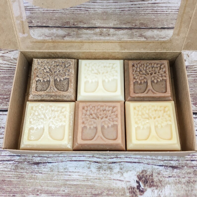 Goat Milk Soap Gift Set: Tree of Life Vegetarian Friendly Soaps, 6-pack ...