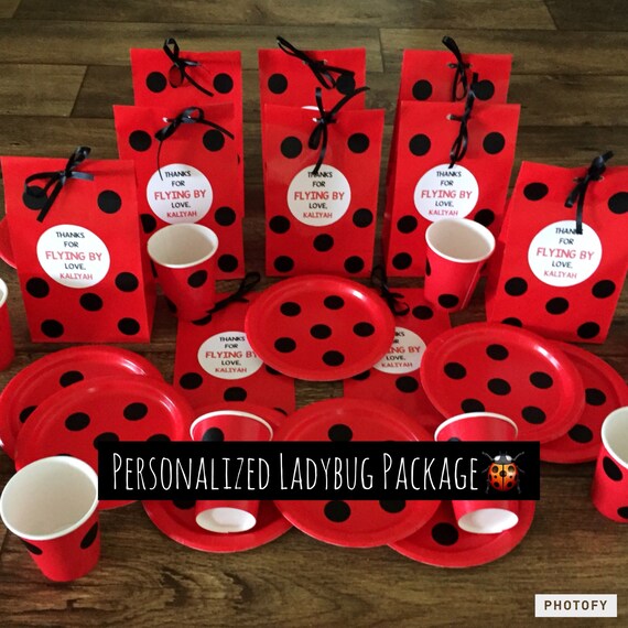 Ladybug Goodie Bags