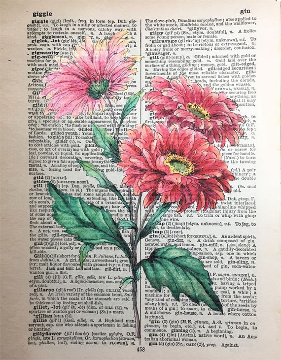 Gerbera Daisy Drawing