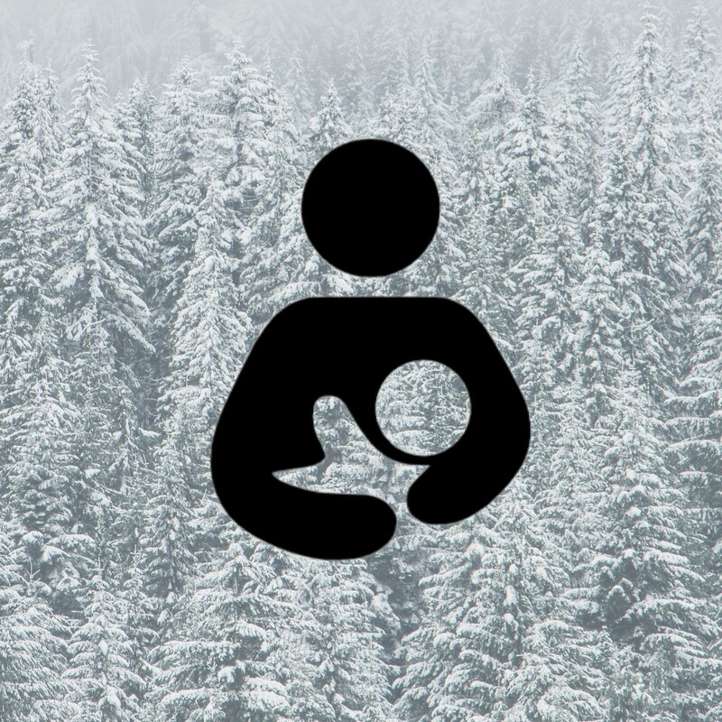 Breastfeeding Decal - Etsy