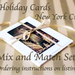 New York City Holiday Card, Central Park, Hansom Cab, Horse and ...