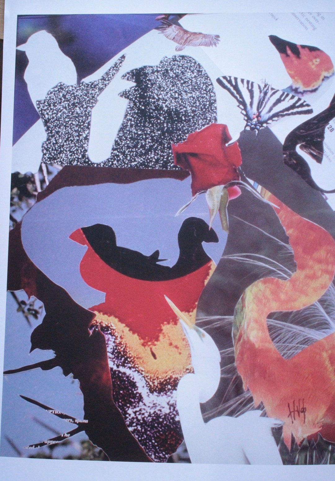 Bird Collage Art Print Magazine Cut Out Montage Bird Shadow - Etsy