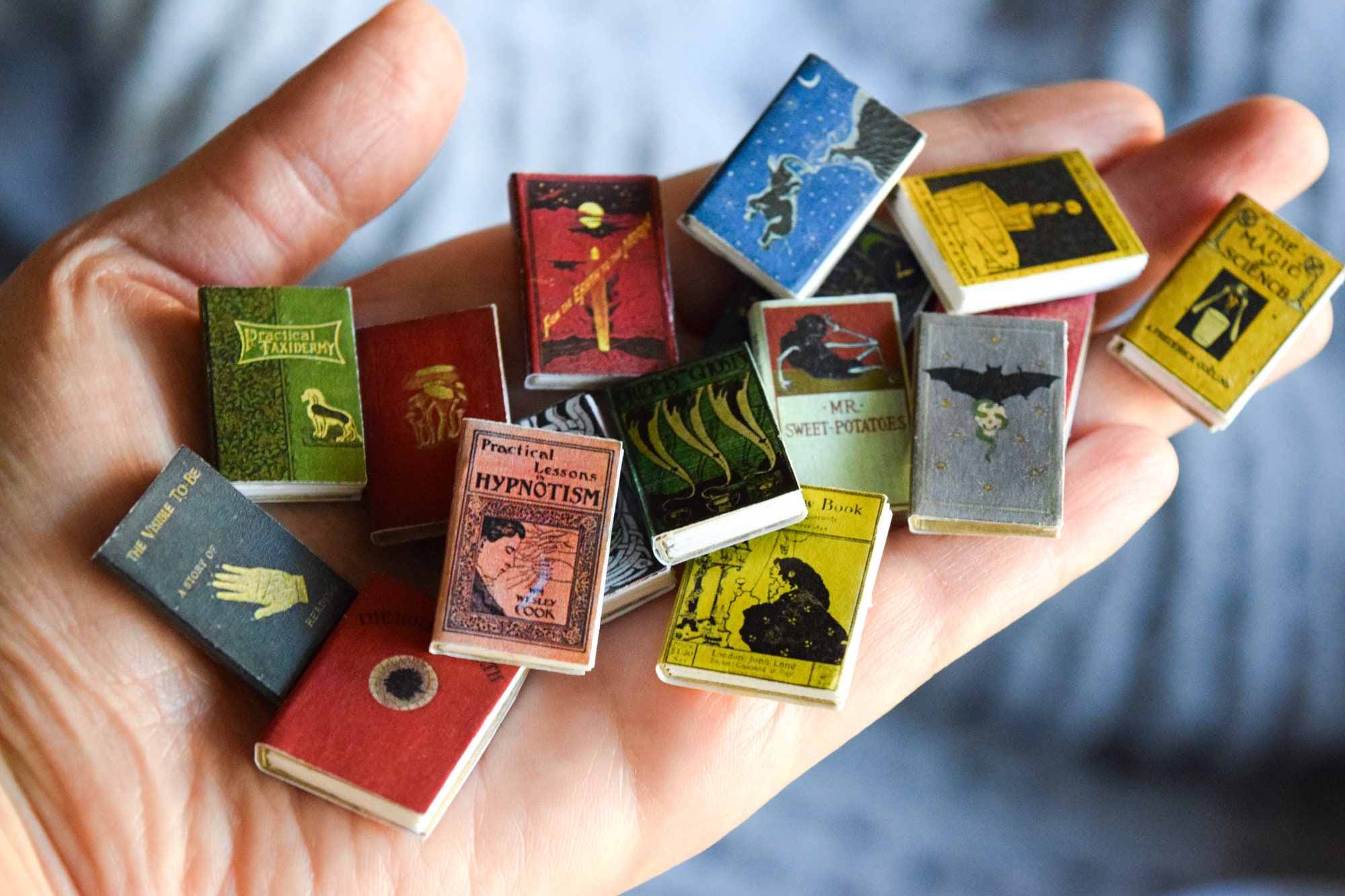 Miniature Spooky Book Covers: Dollhouse Witch Library (printable) - Etsy