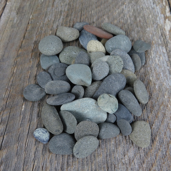 Fairy Garden Stones - Etsy