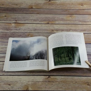 Vintage Maple Syrup Book Sugaring Season Making Maple Syrup Paperback ...