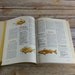 Vintage Cookbook Sunset Seafood Recipes 1981 Paperback How to Select ...